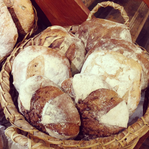 Aardvark Alternatives