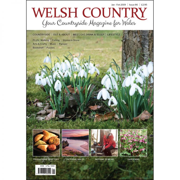 Welsh Country Magazine January - February 2019 Int | Welsh Country