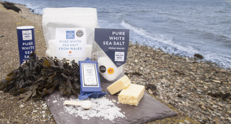 First Sea Salt Cheese Launched as Sea Salt Cheddar