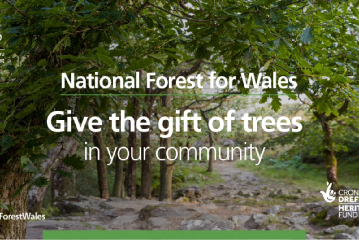 First Sites Announced for National Forest - Welsh Country