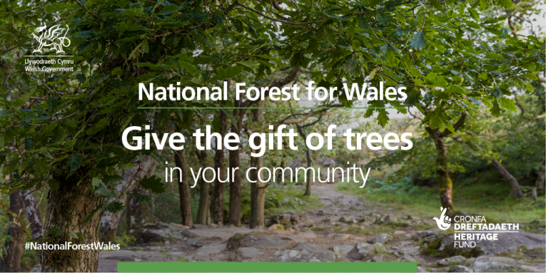 First Sites Announced for National Forest - Welsh Country