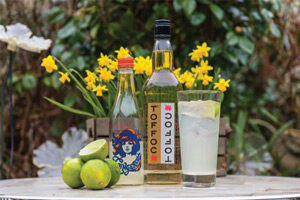 Best Of Welsh Food & Drink Quick Directory | Welsh Country