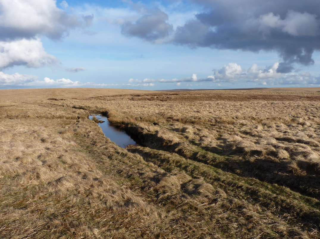 Monks Trod Consultation | Welsh Country