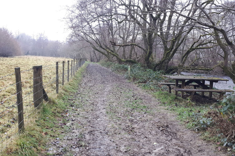 Path Improvements to Riverside Wildlife Walk | Welsh Country