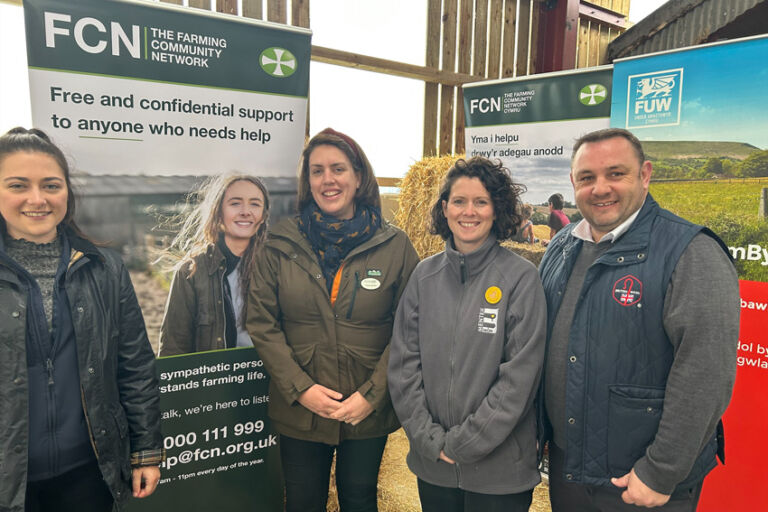 FUW Meirionnydd Joint Wool Event a Success | Welsh Country