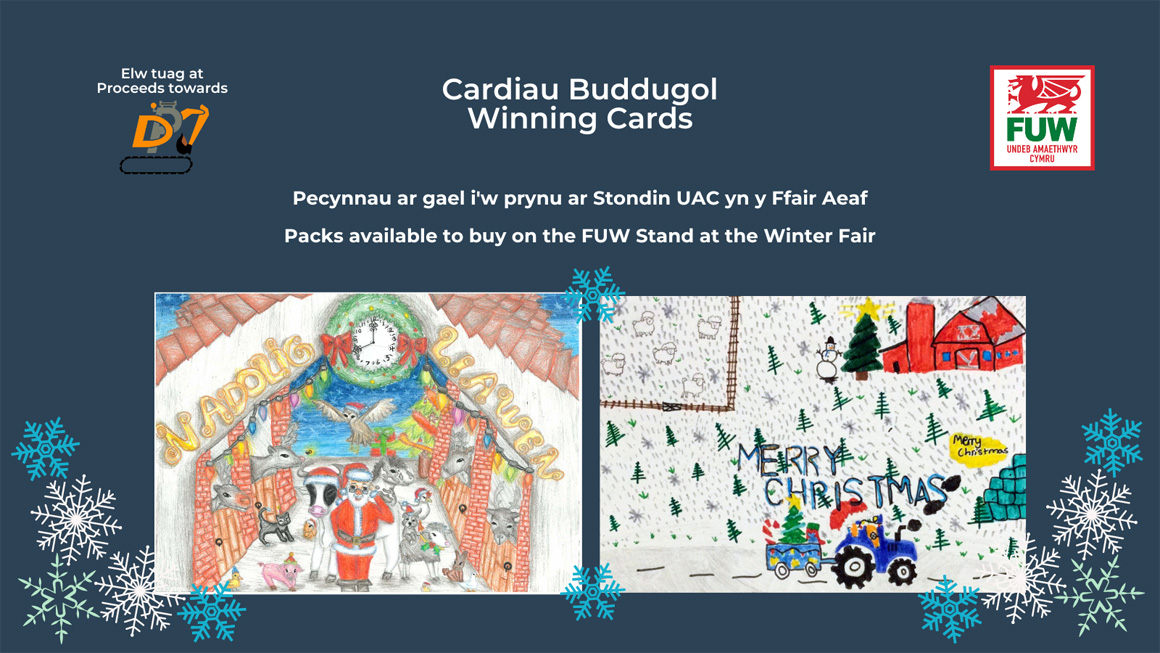 Winning FUW Christmas Card Designs Revealed | Welsh Country