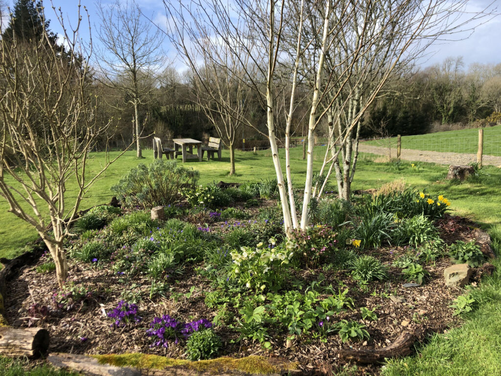 2023 The Spring Garden | Welsh Country