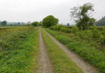 Cambrian Training - Hunt to find the UK’s most skilful butchers