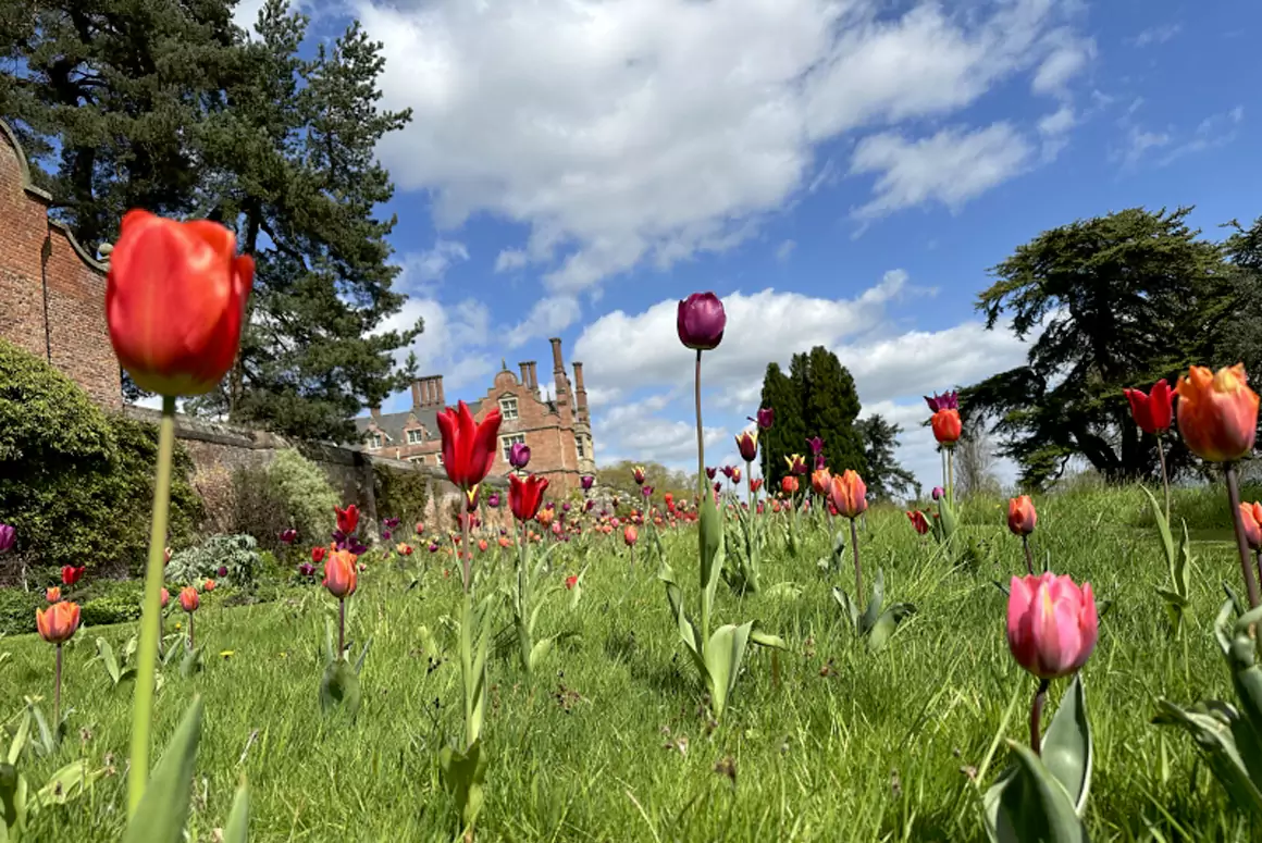 The Wonder of Welsh Gardens Opening for the NGS in 2025 | Welsh Country