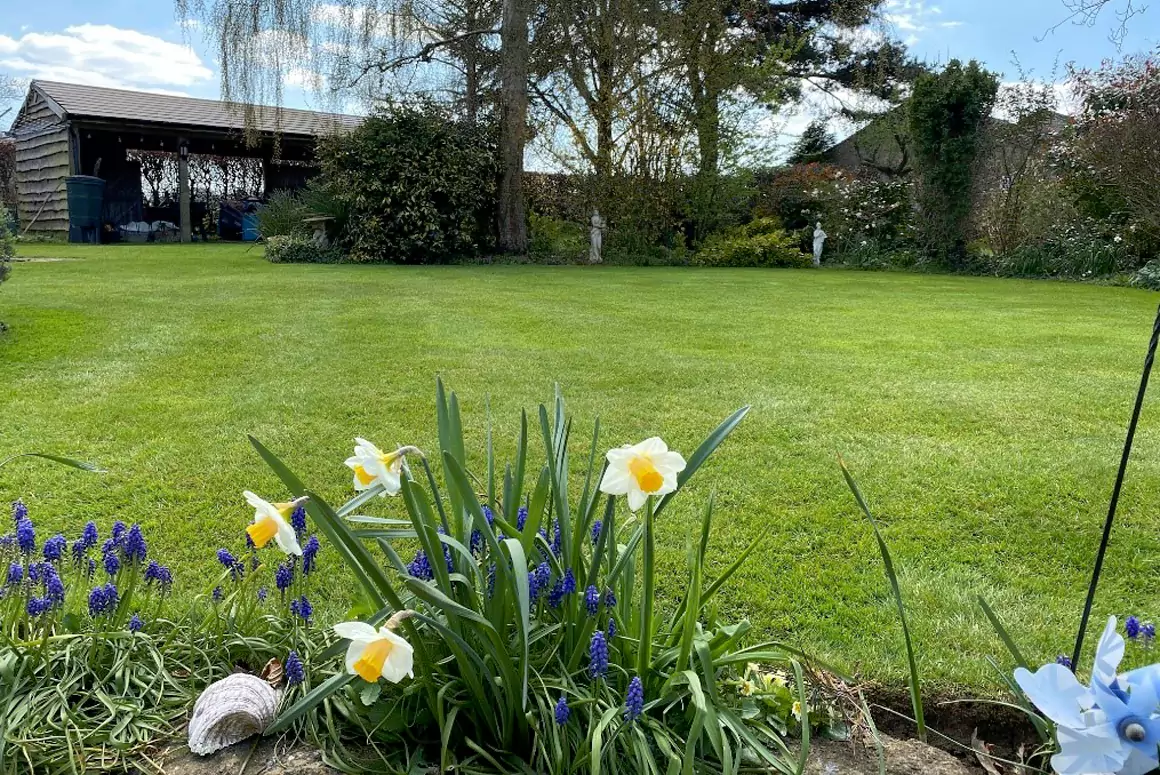 Spring Lawn Care Tips from GreenThumb | Welsh Country