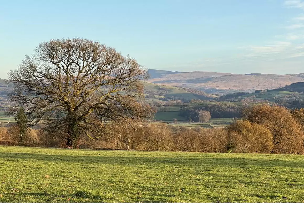 Pylons Through the Cradle of Welsh Civilisation | Welsh Country