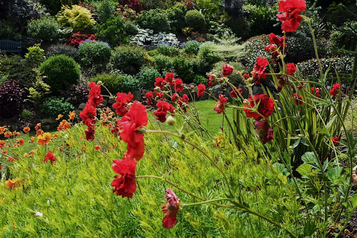 Mainetti Wrexham reaps benefits of apprenticeship programme